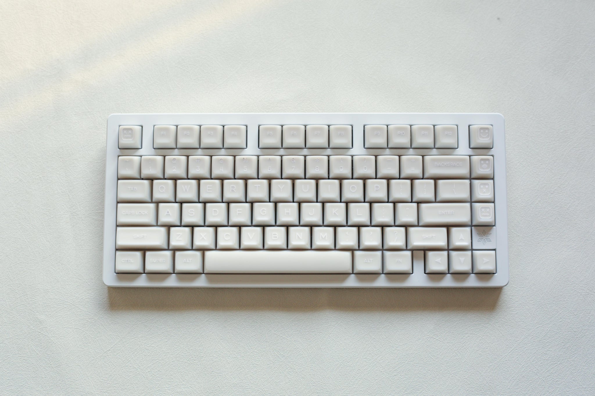 Custom keycaps Semi-Transparent Minimalist White Keycaps Double Shot SA ...